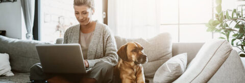 How to get a NZBN | Small Business Resources | Reckon NZ