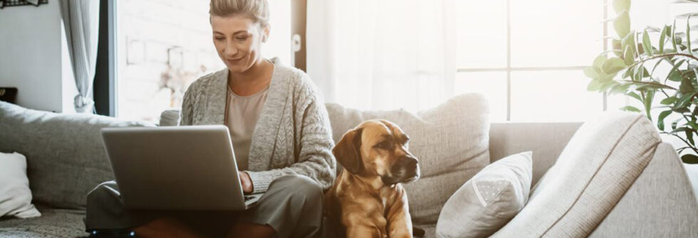 How to get a NZBN | Small Business Resources | Reckon NZ